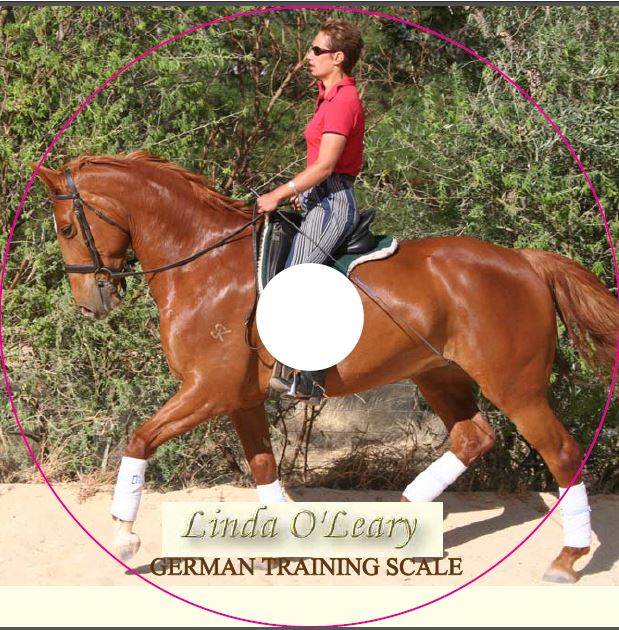 The German Training Scale - HorseProblems DVD's South Africa